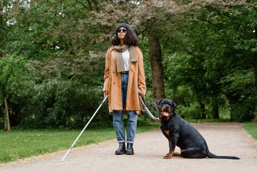 Airbnb Emotional Support Animal Policy